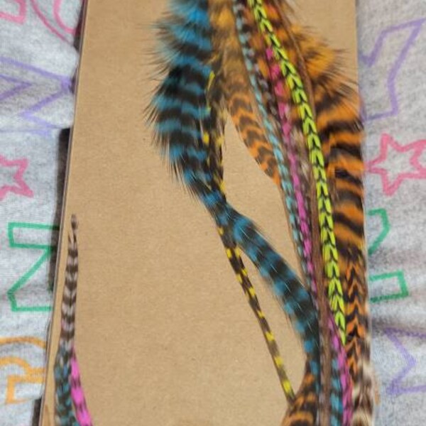 Feather Hair Extensions DIY Kit -10 Feathers + Beads + Tool/natural Mix ...