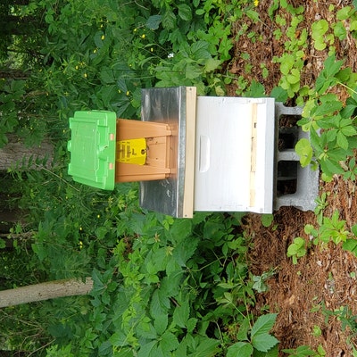 Swarm Trap 5/frame Bee Hive Assembled FRAMES NOT INCLUDED - Etsy