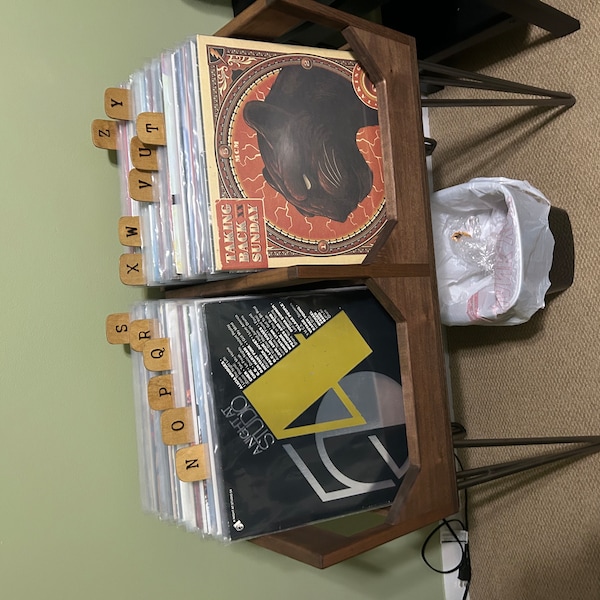 The Deluxe Tallboy Vinyl Record Storage: Flip Bins That Display Your ...