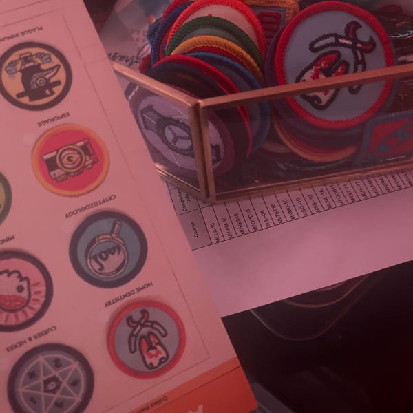 Alternative Scouting for Girls and Boys Merit Badges - FULL SET OF 24 ...