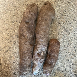 Japanese Purple Organic Sweet Potatoes Yam Potato Tubers Heirloom Non ...
