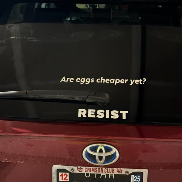 Google Dinosaur Sticker / Decal - Etsy