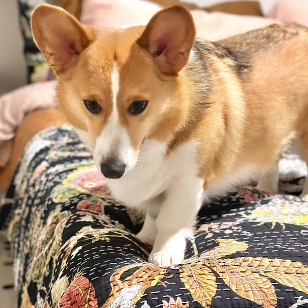 Indian Black Floral Print Queen Pure Kantha Quilt Quilt Cotton Throw ...