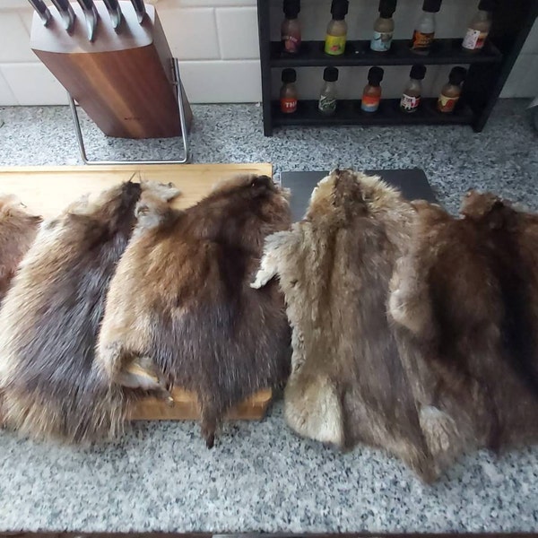 FURRIER METAL Fastener Hooks Eye Closure Clasp Clip FUR Coat Dasco 2 ...