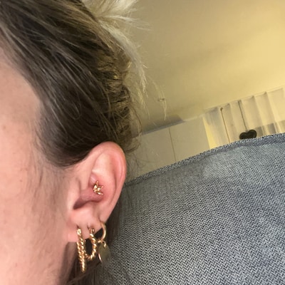 Crossover Conch Clicker Hoop G23 Titanium 12mm Gold Conch - Etsy