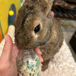 Bunny O's Cereal Treat, Rabbit Fruit Loops Inspired Treat, Small Animal ...