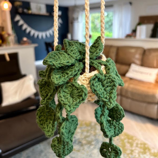 Tiny Pothos Crochet Pattern Bundle Pothos Jade, Monstera and String of ...