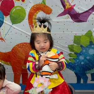 Birthday Crown, Pinkalicious Crown, Princess Crown, Halloween Costume ...