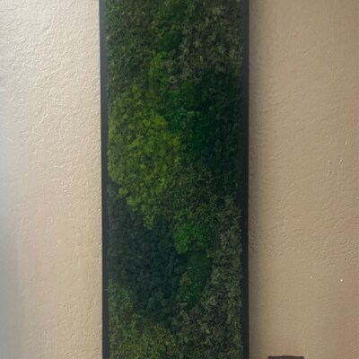 Unique Moss Wall Art Moss Wall Art Framed Black 36 X - Etsy
