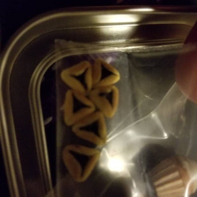 Dollhouse Miniature Lemon Meringue Pie 12th Scale Miniature Food - Etsy