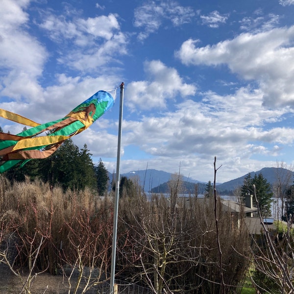 Rainbow Heart Windsock - Etsy
