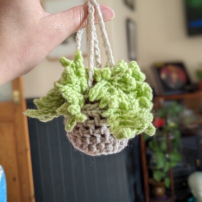 Car Fern Crochet PATTERN by Pamelambie Car Plant - Etsy
