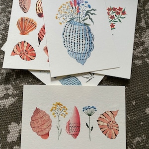Coastal Shells Art Postcard Seashells and Wildflowers | Etsy