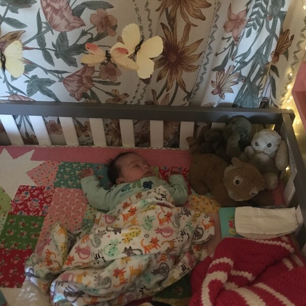 Cylinder With Ball. Ball Cylinder. Ball Rattle. Montessori Cylinder ...