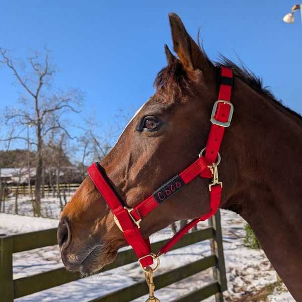 SMALL/MEDIUM Embroidered Halter Sleeves, Custom Horse Halter Name Tag ...