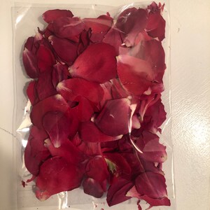 One Cup Petal Sample...choose YOUR Color FREE USA Shipping Wedding ...