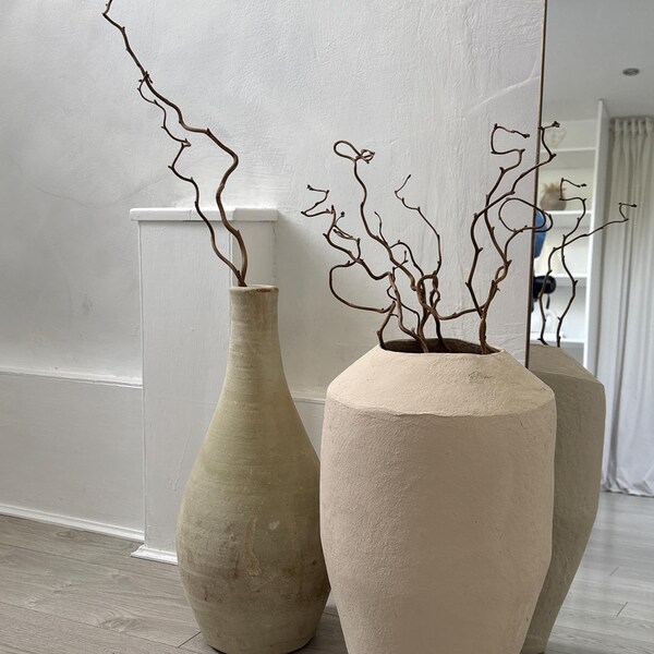 Real Decorative Dried Corylus Branches Wabi Sabi Twigs for Vase ...