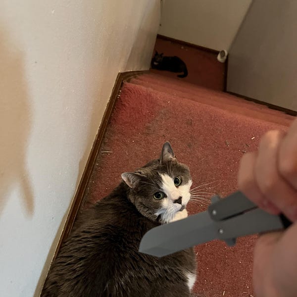 Team Fortress 2 Spy Knife Prop | 3D Printed TF2 Spy Butterfly Knife ...