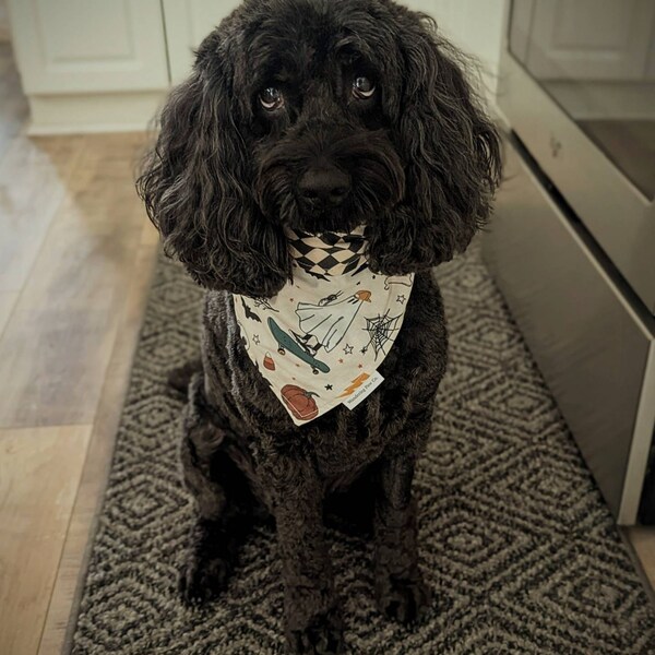 Sienna Bandana, Dog Bandana, Fall Dog Bandana, Over the Collar Dog ...