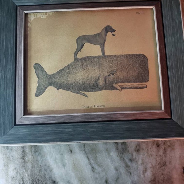 Rhodesian Ridgeback Dog Riding Whale Vintage Collage Print Tea Stained ...