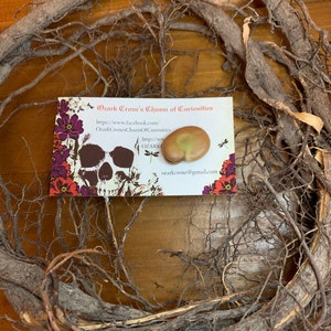 Master Root Oil | Etsy