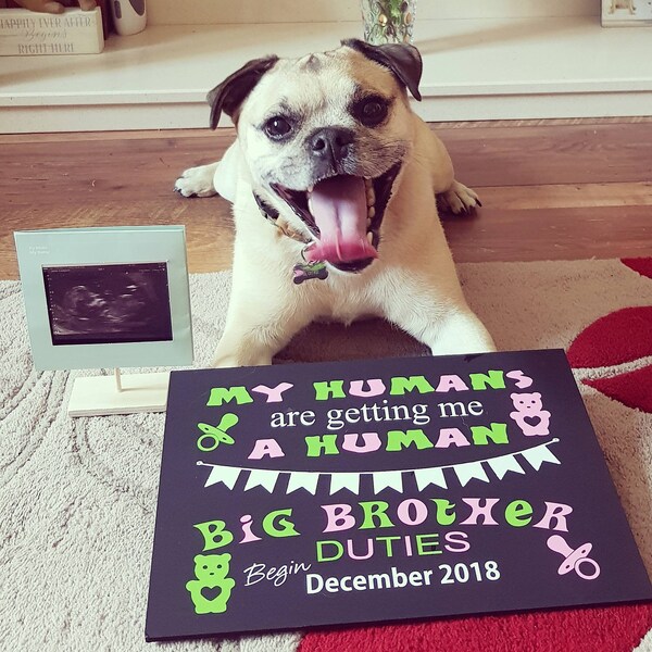 Last Chance to Run Daddy Here Comes Mummy Wedding Sign Page Boy Sign ...