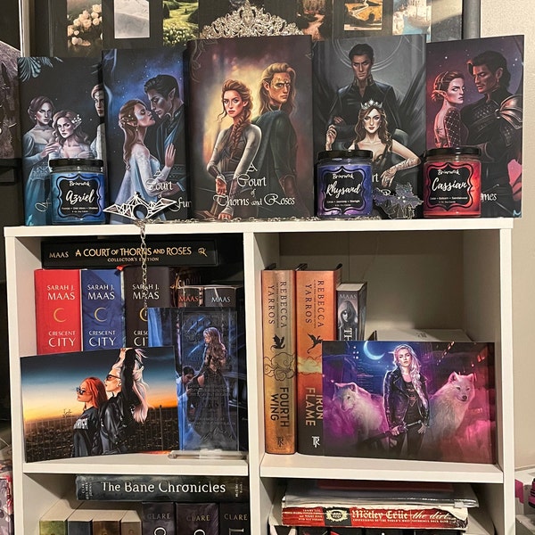 Throne of Glass Art, Tog Art, Rowan and Aelin Art, Fandom Art, Sjm ...