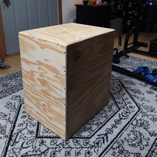 24 X 20 X 16 Box, Super Sturdy Crossfit Box With Bracing, WOD Box, Plyo ...