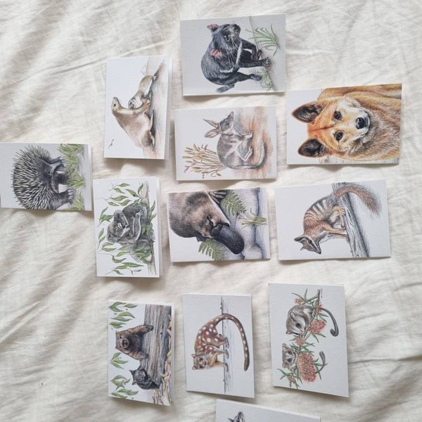 Dusky Hopping Mouse - Australian Wildlife Art Greeting Card. Cute ...