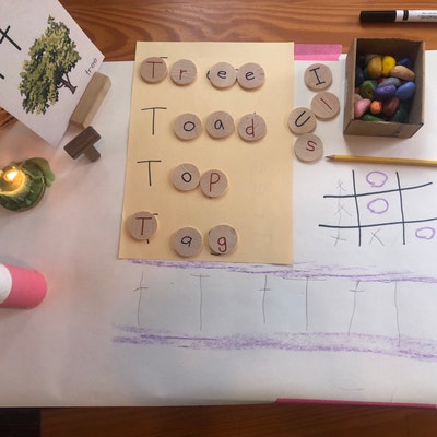 Montessori Blue Series Language Cards Learn to Read Consonant - Etsy