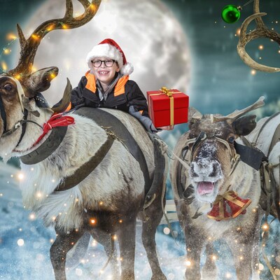 Christmas Digital Smiling Reindeer Flying Reindeer Games - Etsy