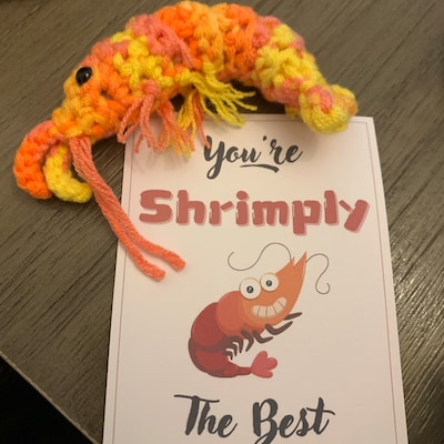 Emotional Support Shrimps With Positive Affirmation, Handmade Crochet ...