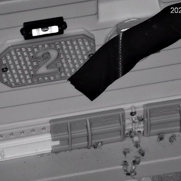 Monarch Butterfly Raising Kit- Butterfly Raising Kit, Milkweed Floral ...