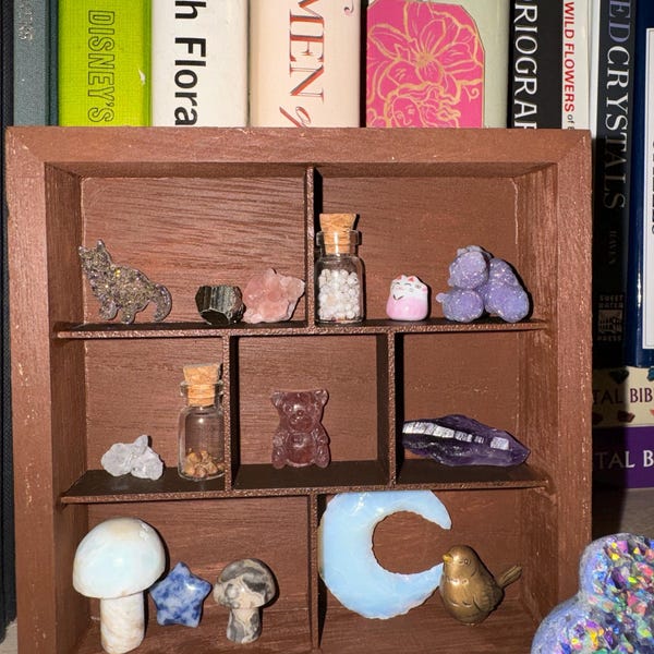 Wooden Curiosity Cabinet Printer Tray Letterbox Display, Rock Display ...