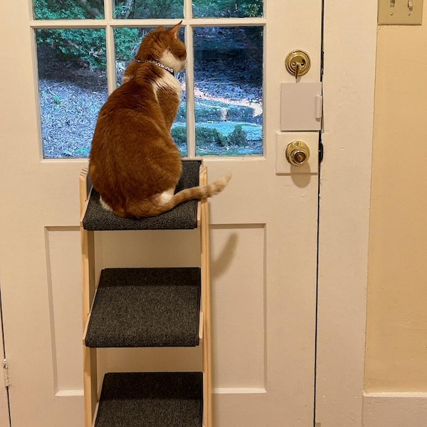 Cat Ladder - 8 Step Cherry Hardwood | Lets Cats Climb Indoors to Reach ...