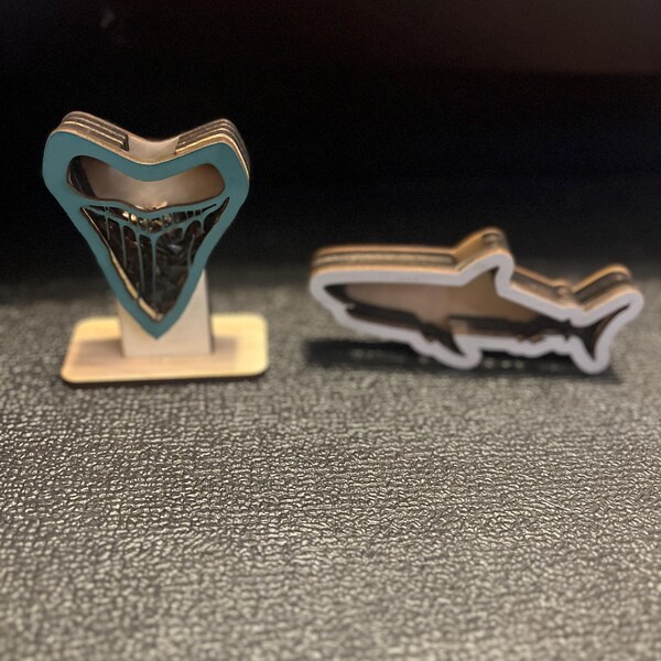 Shark Tooth Identification Guide (medium). Shark Teeth Guide. Shark ...