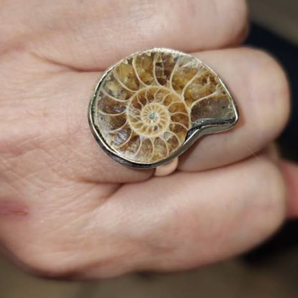 Ammonite Fossil Ring 925 Sterling Silver Ring Adjustable Ring Handmade ...