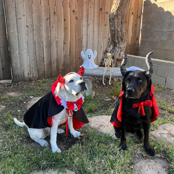 Cat Dog Vampire Costume Halloween, Dog Dracula Count Cloak, Pet Cosplay ...