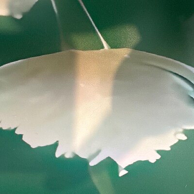 Scary Woman Frosted Glass Ghost Horror Window Backlit Wall Backdrop ...