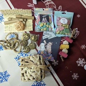 BUNNY-CINOS Forage Blend for Rabbits, Cute Pet Bunny Treats, Starbucks ...