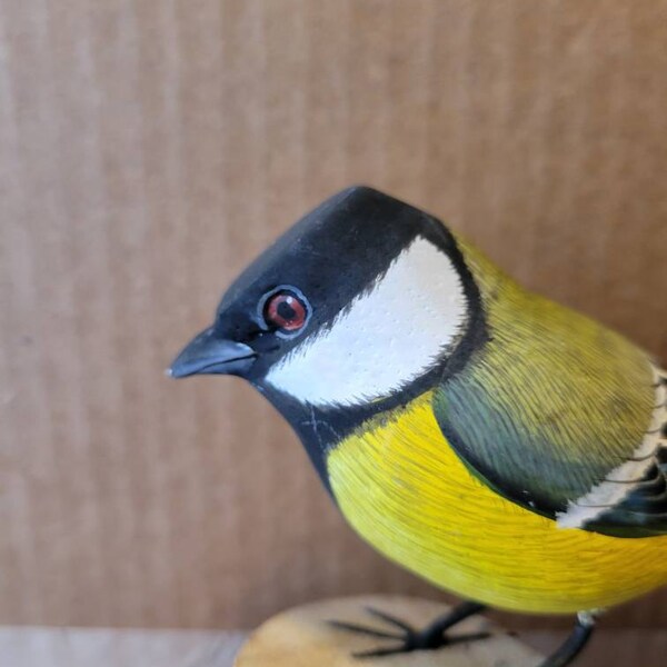 White Screw Shells 3-8cm Unicorn Horns Spiral Shell Beach Wedding ...