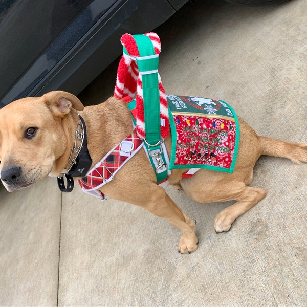 Spooky Dog Patches, Dog Patches, Halloween Dog, Working Dog, Crystal ...