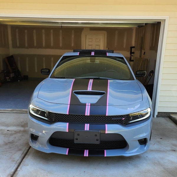 Award Winning Charger RACING Stripes Dual 10" & Pin Stripe/graphic ...