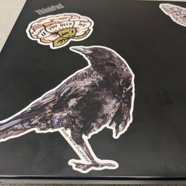 Octopus Art Print, Original Pacific Giant Octopus Pacific Northwest ...