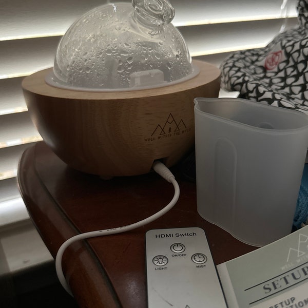 Willow | Glass Dome & Wood Grain Diffuser | Essential Oil Diffuser - Etsy