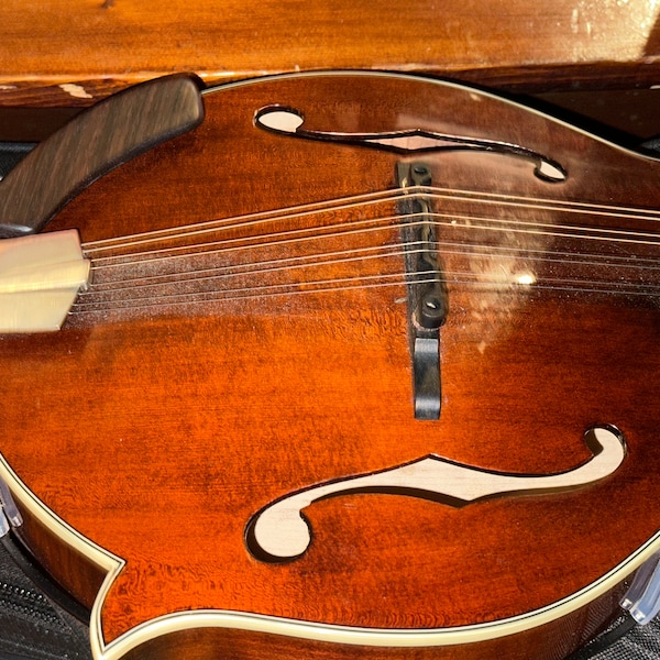 Premium Instrument Case Stand for Guitar, Violin, Mandolin, Banjo ...