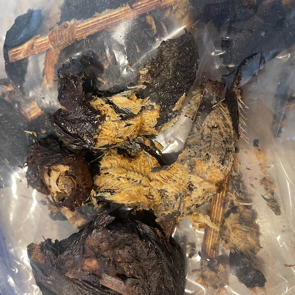 Ebevbarie/ Dried Fish/ 8 Pieces - Etsy