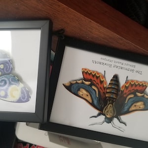 Edvard Munch's the Scream Hawkmoth Painting Print 6x8 Framed ...