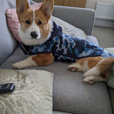 Corgi Rain Jacket - Etsy