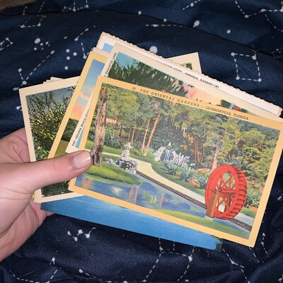 Old Postcards Unused Assortment of Random Vintage Post Cards From ...